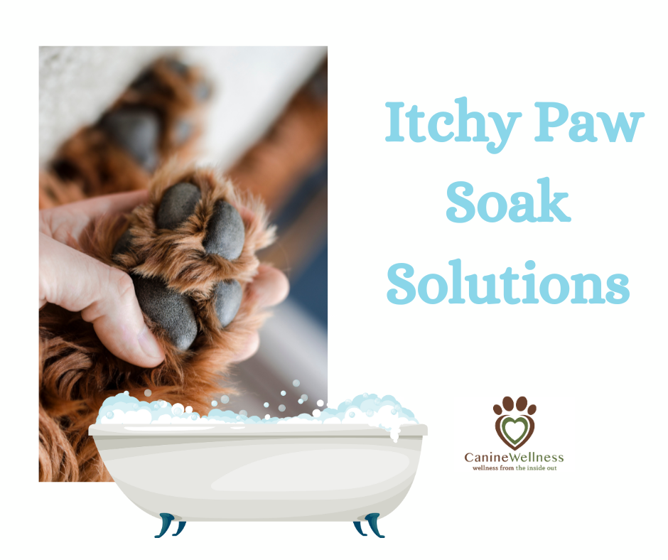 Itchy Paws – Canine Wellness Specialist